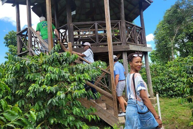 Blue Mountain Path Finder - Final Word