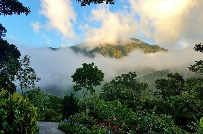 Blue Mountain Private Tour in Jamaica - Final Thoughts
