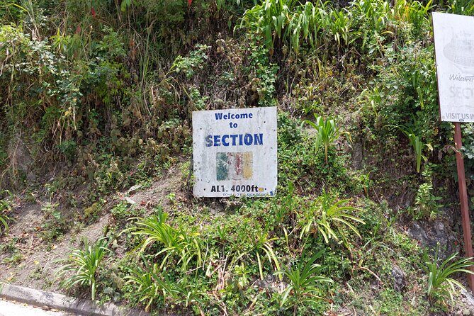 Blue Mountain Sight-Seeing & Nature Trail Hike with Private Guide - The Transportation Experience