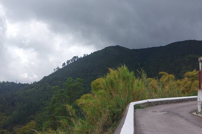 Blue Mountain Sight-Seeing & Nature Trail Hike with Private Guide - Price and Value Assessment