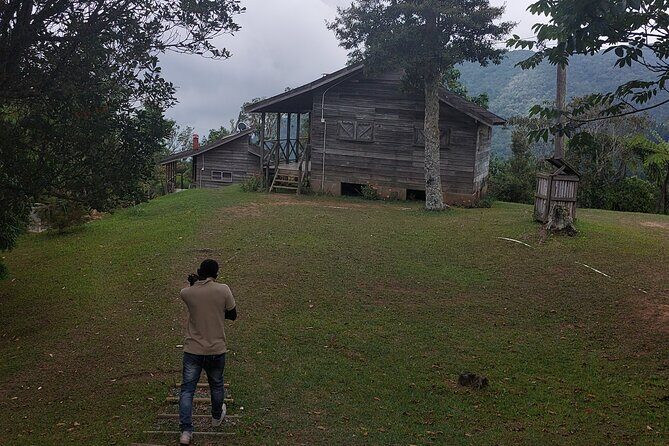 Blue Mountain Sight-Seeing & Nature Trail Hike with Private Guide - Who Should Consider This Tour?