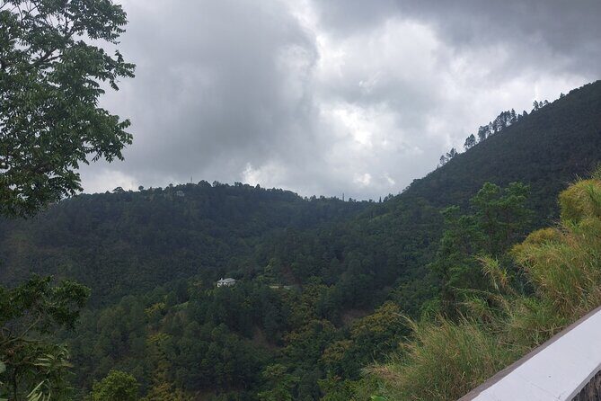 Blue Mountain Sight-Seeing & Nature Trail Hike with Private Guide - The Sum Up