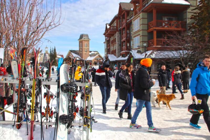 Blue Mountain: Skiing or Snowboarding for Beginners - Overall Value and Experience