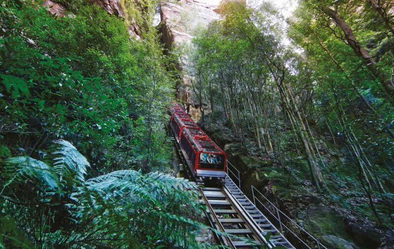 Blue Mountain: Small-Group Tour with Lunch & Scenic World - An In-Depth Look at the Blue Mountains Small-Group Tour