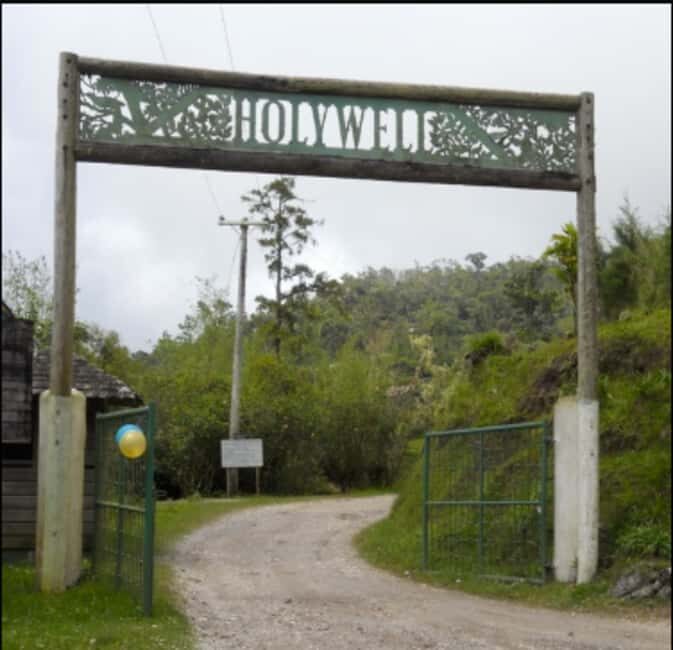 Blue Mountain Tour: A Half-Day Escape from Kingston - Key Points