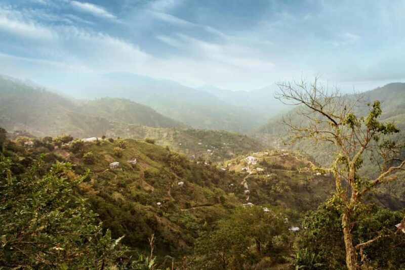 Blue Mountain Tour: A Half-Day Escape from Kingston - Practical Details & Tips