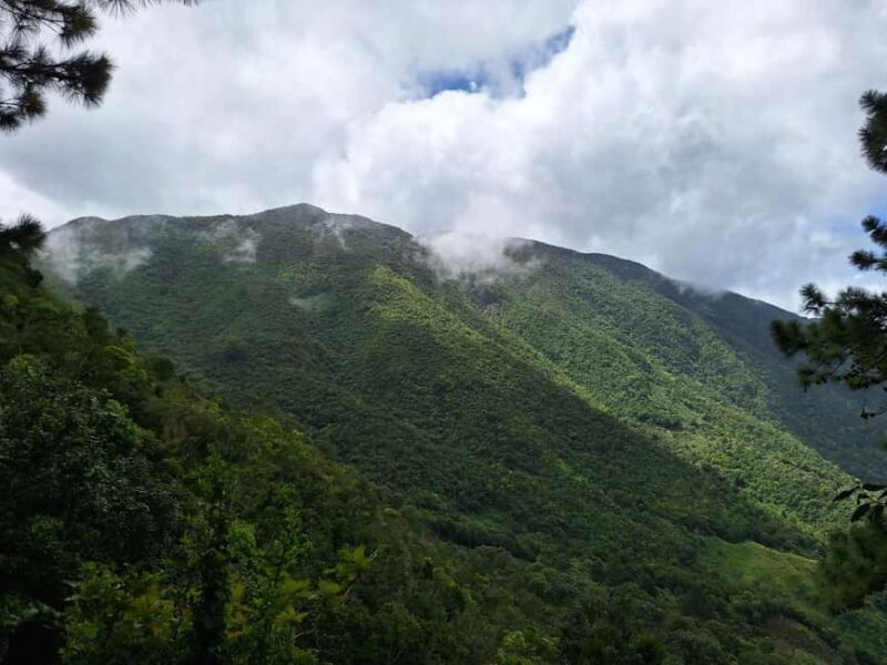 Blue Mountain Tour: A Half-Day Escape from Kingston - Frequently Asked Questions