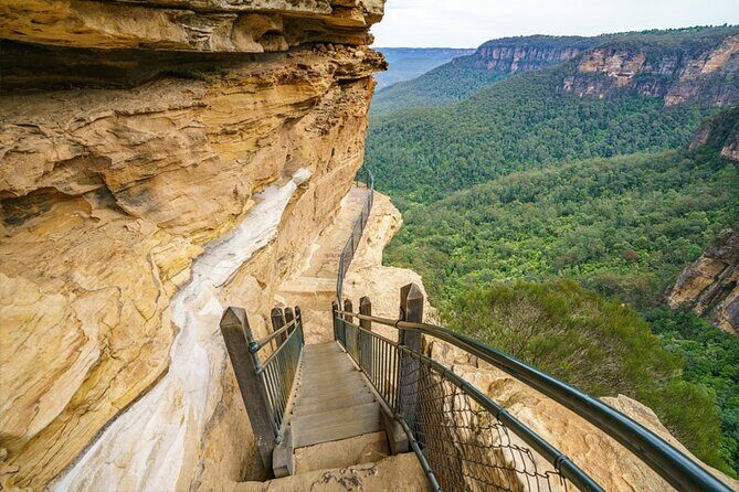 Blue Mountain Tour with Hop on and Hop Off Bus - Who Should Consider This Tour?