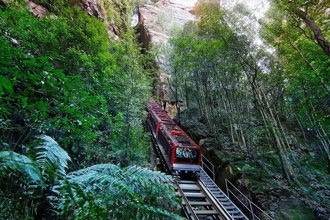 Blue Mountain Tour with Hop on and Hop Off Bus - The Sum Up