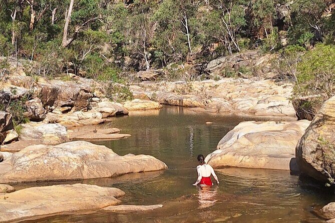 Blue Mountains 3 Hour Guided Eco Tour - close to Sydney - A Deep Dive into the Glenbrook Gorge Eco Tour