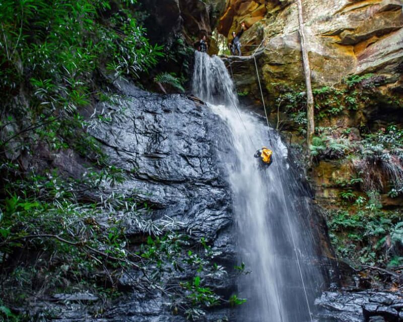 Blue Mountains: Abseiling and Canyoning Experience - FAQ