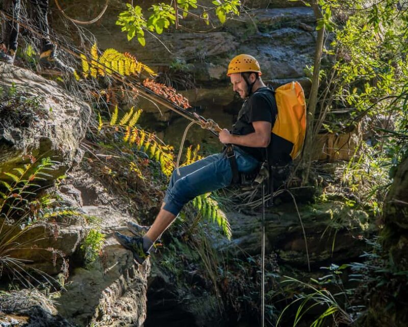 Blue Mountains: Abseiling and Juggler Canyon Adventure Tour - Practicalities and Value