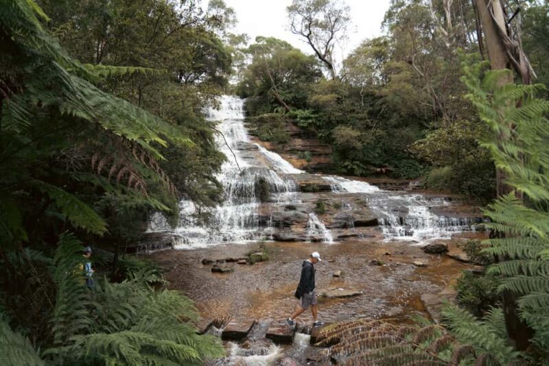 Blue Mountains Adventure: Scenic World, Zoo & Koala Photo - Who Is This Tour Best For?