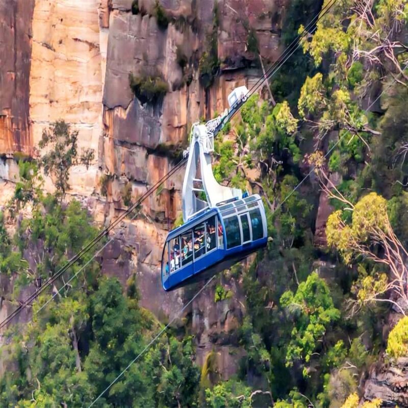 Blue Mountains Adventure: Wild Boar Rock & Cable Car - The Value of This Experience