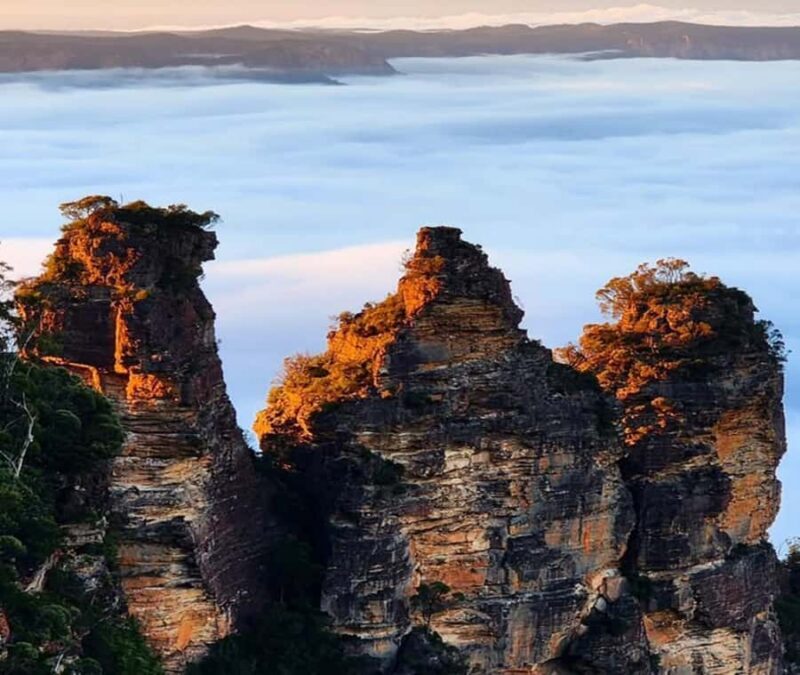 Blue Mountains Adventure: Wild Boar Rock & Cable Car - Who Should Consider This Tour?