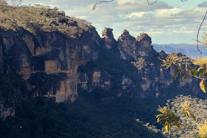 Blue Mountains and Australian Native Animals - Experience the Blue Mountains and Australian Native Animals: A Review