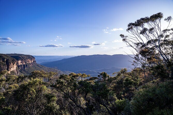 Blue Mountains and Australian Native Animals - Practical Details and Why They Matter