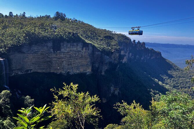 Blue Mountains and Australian Native Animals - What Reviewers Love Most