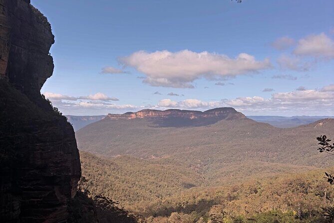 Blue Mountains and Australian Native Animals - Who Will Love This Tour?