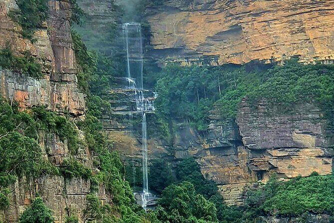 Blue Mountains and Wildlife Truly Private Luxury Tour - Who Will Love This Tour?