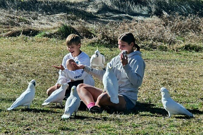 Blue Mountains and Wildlife Truly Private Luxury Tour - FAQs