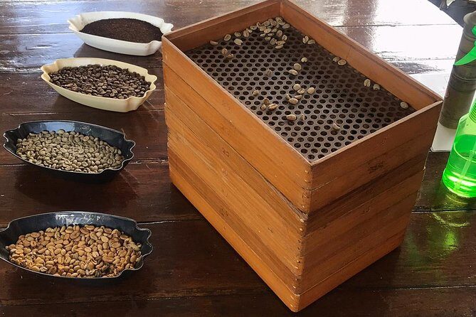 Blue Mountains Coffee Private Tour from Kingston - Introduction to the Blue Mountains Coffee Tour