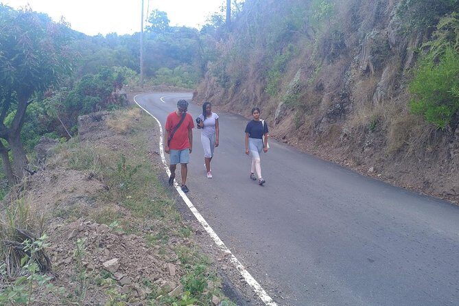 Blue Mountains Coffee Private Tour from Kingston - The Sum Up