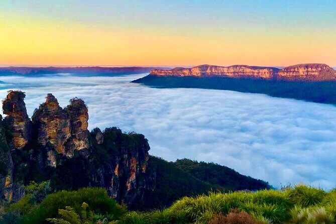 Blue Mountains Day Adventure, Featherdale Wildlife & River Cruise - A Closer Look at the Experience