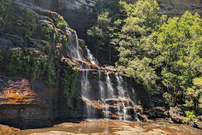 Blue Mountains Day Tour : Featherdale & Bush walk (15 ppl LUX) - Scenic Ferry Ride to Sydney