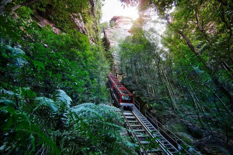 Blue Mountains day tour with Cruise, Scenic world pass & Zoo - A Practical Guide to the Day