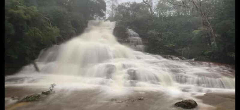 Blue Mountains day tour with Cruise, Scenic world pass & Zoo - Who Should Consider This Tour?