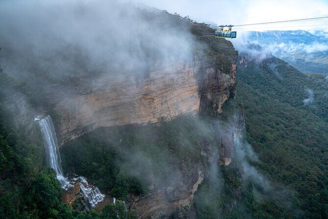 Blue Mountains Day Tour with Scenic World and Wildlife Park Entry - What We Love About This Tour