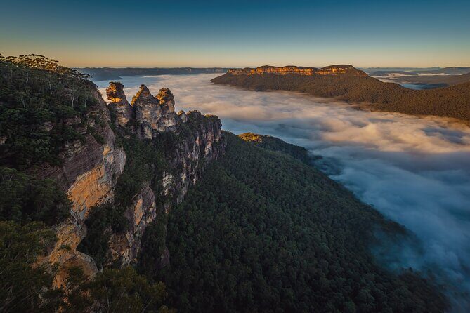 Blue Mountains Day Tour with Wildlife and Scenic World - Analyzing the Value