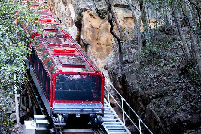 Blue Mountains Day Tour with Wildlife, Walks and Scenic World - A Closer Look at the Tour Experience