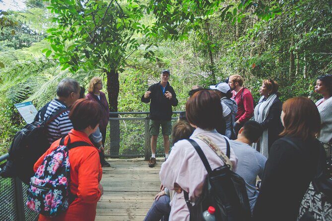 Blue Mountains Day Tour with Wildlife, Walks and Scenic World - Practical Considerations
