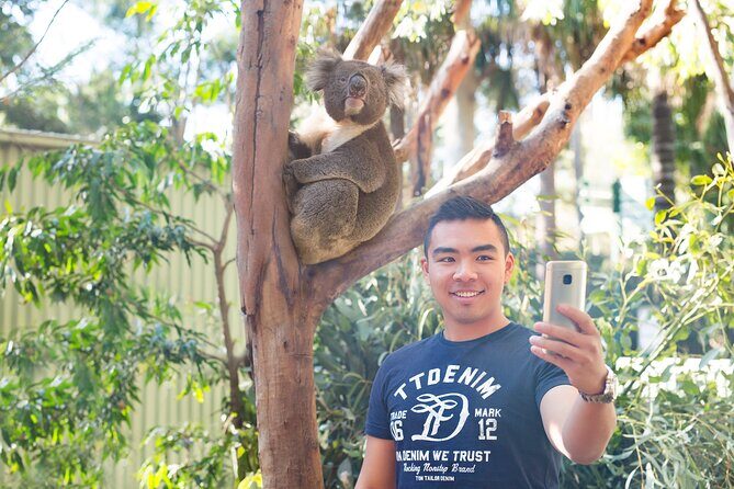 Blue Mountains Day Tour with Wildlife, Walks and Scenic World - Who Will Love This Tour?
