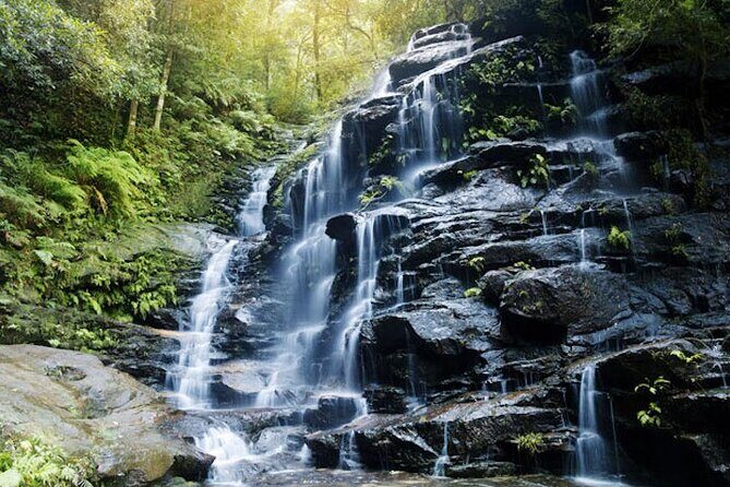 Blue Mountains Electric Bike Tour with Transport - Final Thoughts: Who Should Consider This Tour?