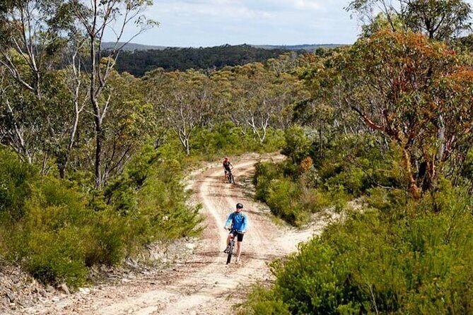 Blue Mountains Electric Bike Tour with Transport - FAQ