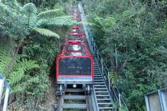 Blue Mountains Exclusive Private Tour - Who Is This Tour Best For?