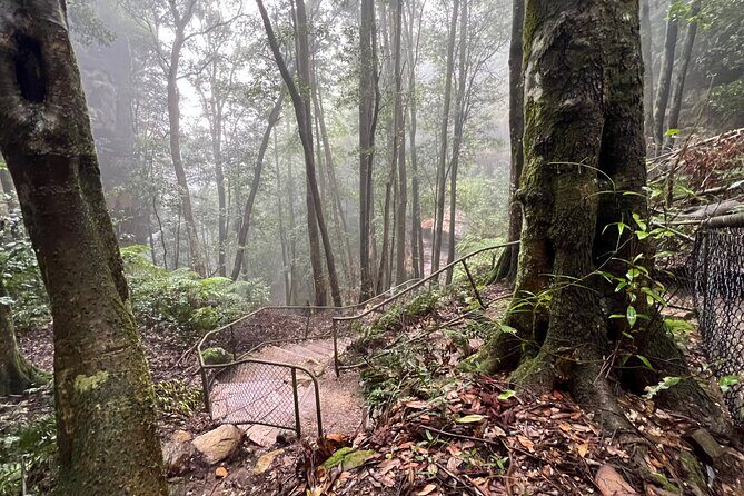 Blue Mountains Experience: Explore & Discover Majestic Landscapes - How the Tour Works & Why It Matters