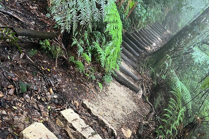 Blue Mountains Experience: Explore & Discover Majestic Landscapes - FAQ