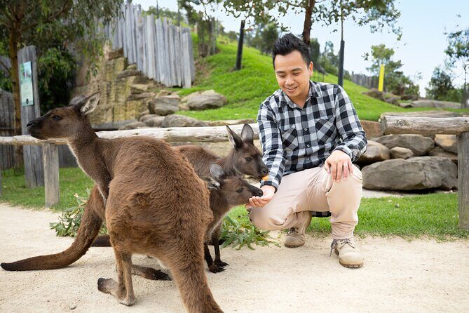 Blue Mountains Experience - Timeless Nature on a grand scale - FAQ