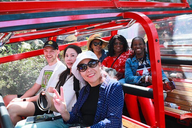 Blue Mountains Express includes Three Sisters Hiking Option - Who Is This Tour Best For?