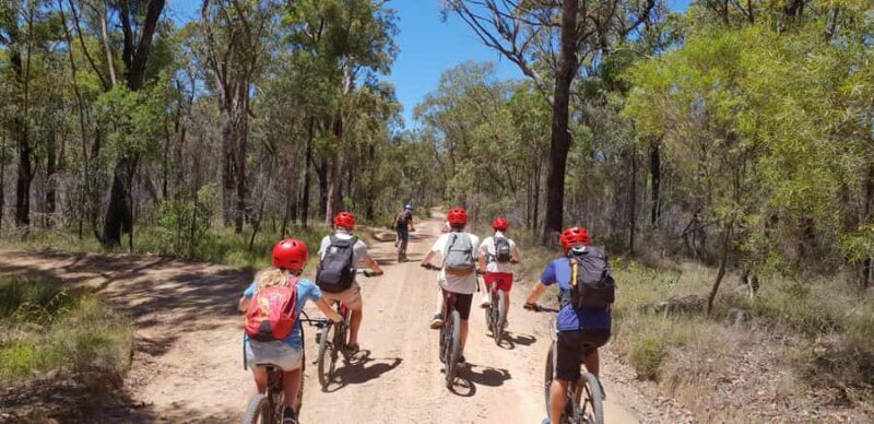 Blue Mountains: Guided Mountain e-Bike Tour, Blue Labyrinth - Introduction to the Tour