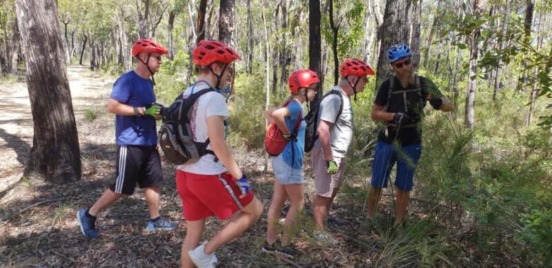 Blue Mountains: Guided Mountain e-Bike Tour, Blue Labyrinth - The Itinerary: What to Expect