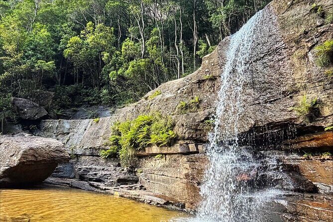 Blue Mountains Helicopter and 4WD Eco Tour Experience - Key Points