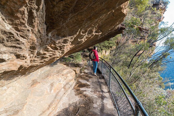 Blue Mountains Highlights & Wildlife Park - Exploring the Blue Mountains & Wildlife Park: An Honest Review