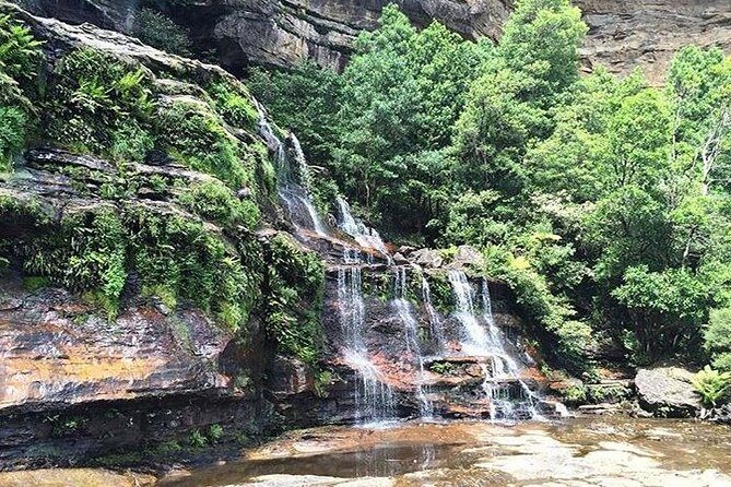 Blue Mountains Highlights & Wildlife Park - FAQ