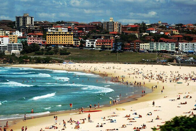 Blue Mountains | Koalas, Kangaroos & Bondi Beach Private Tour - An In-Depth Look at the Tour Experience