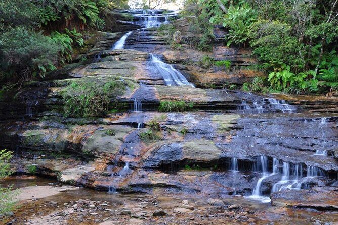 Blue Mountains | Koalas, Kangaroos & Bondi Beach Private Tour - Frequently Asked Questions